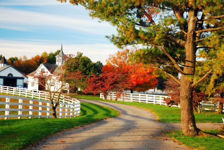 Types of Real Estate Auctions: Find Your Best | SHERIDANS, LLC Types of Real Estate Auctions: Find Your Best | SHERIDANS, LLC